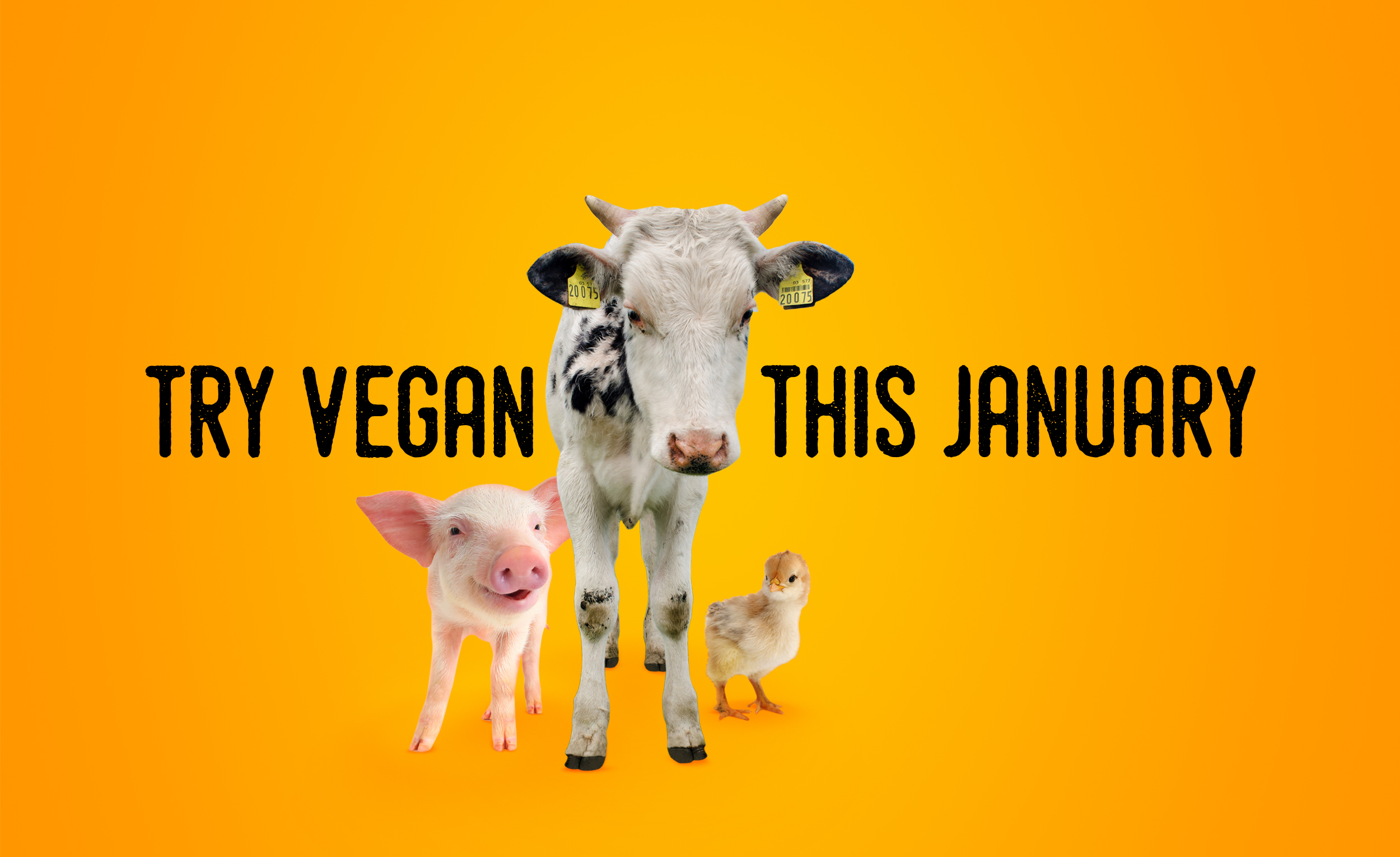 Veganuary 2018 Campaign Visuals | Veganuary