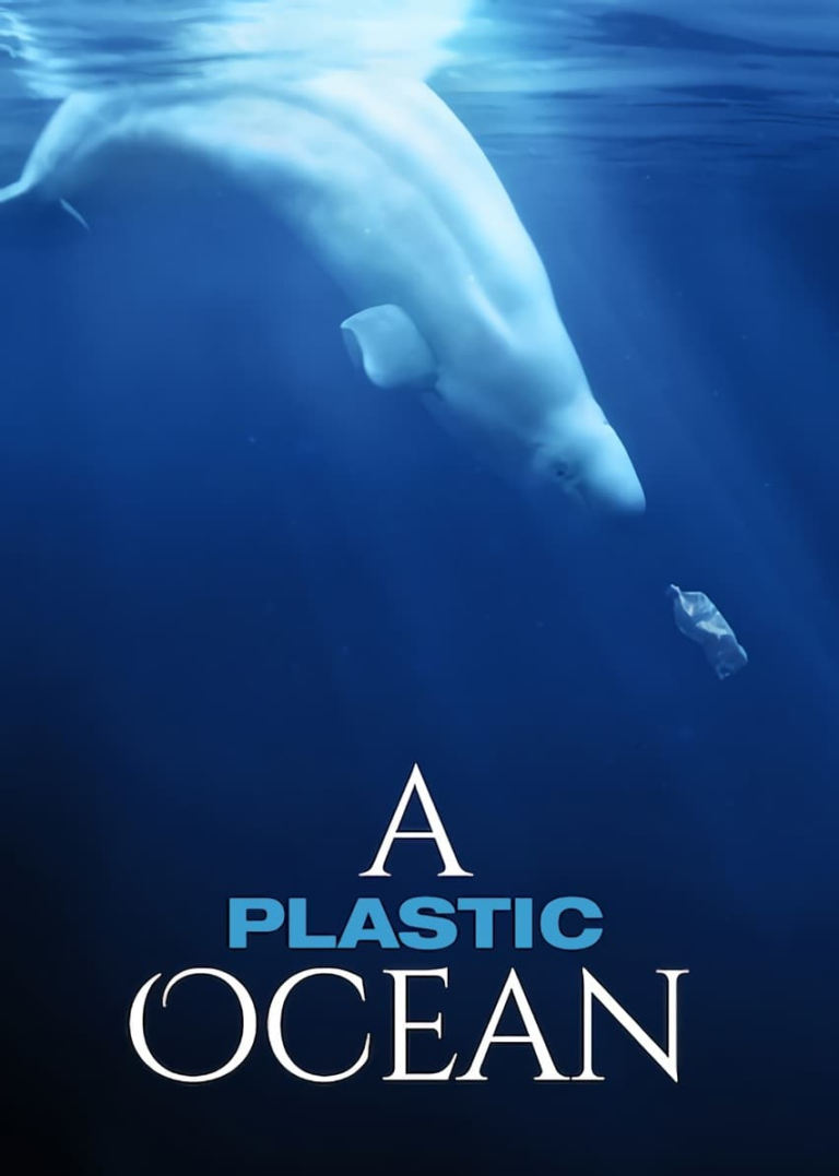 Ocean Documentaries: 10 Best Films to Stream Online | Veganuary
