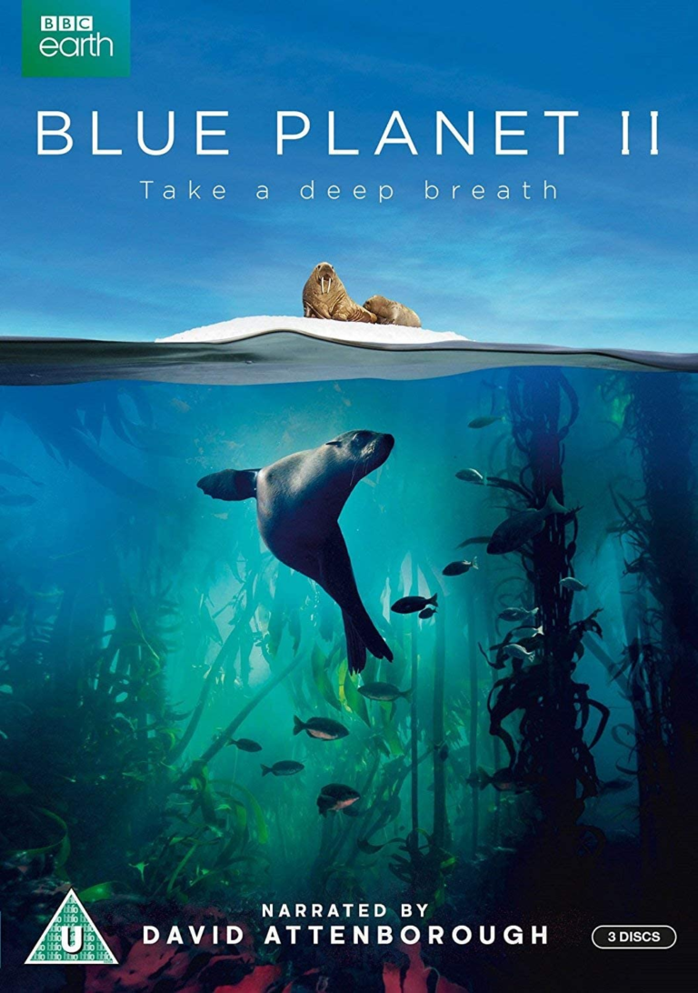 Ocean Documentaries: 10 Best Films to Stream Online | Veganuary