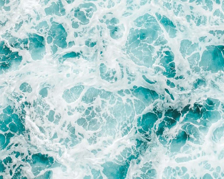 Ocean Documentaries: 10 Best Films to Stream Online | Veganuary