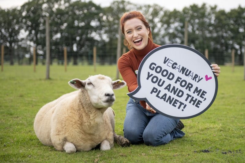 How to Eat Vegan | Guide to Trying Vegan | Veganuary