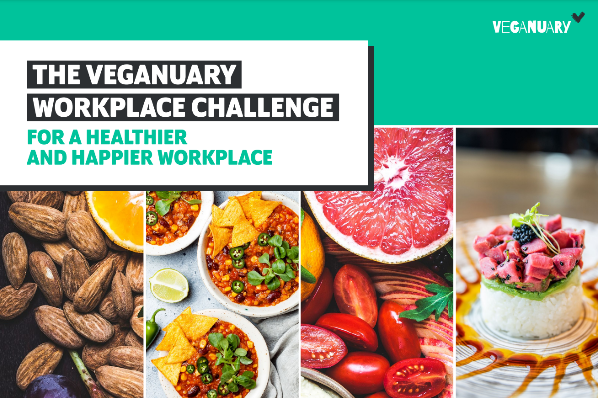 Businesses urged to try Veganuary Workplace Challenge for sustainability