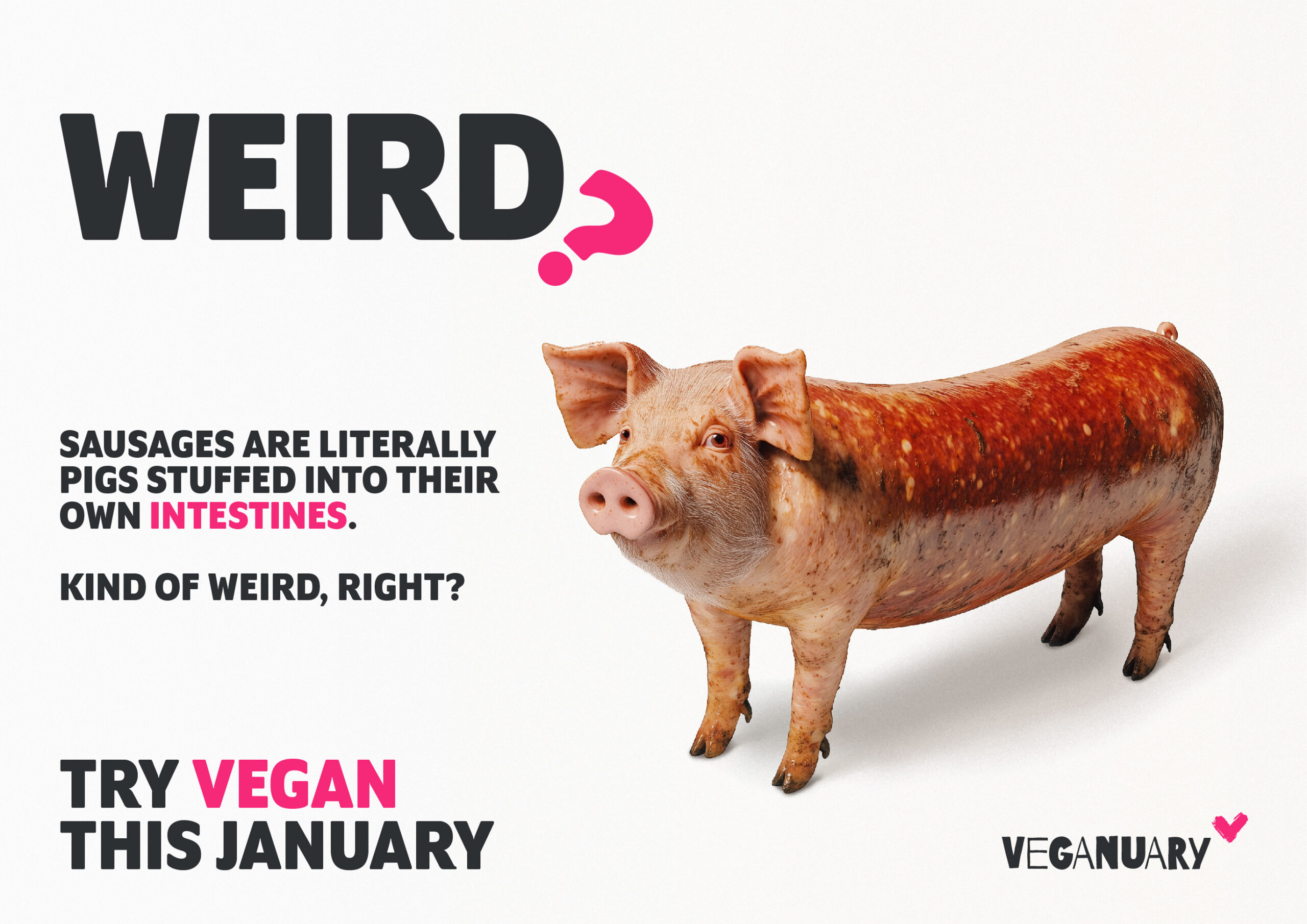 Provocative Veganuary ads give ITVX viewers pause for thought!