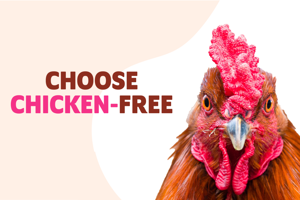 Choose Chicken-Free | Vegan Chicken Alternatives | Veganuary